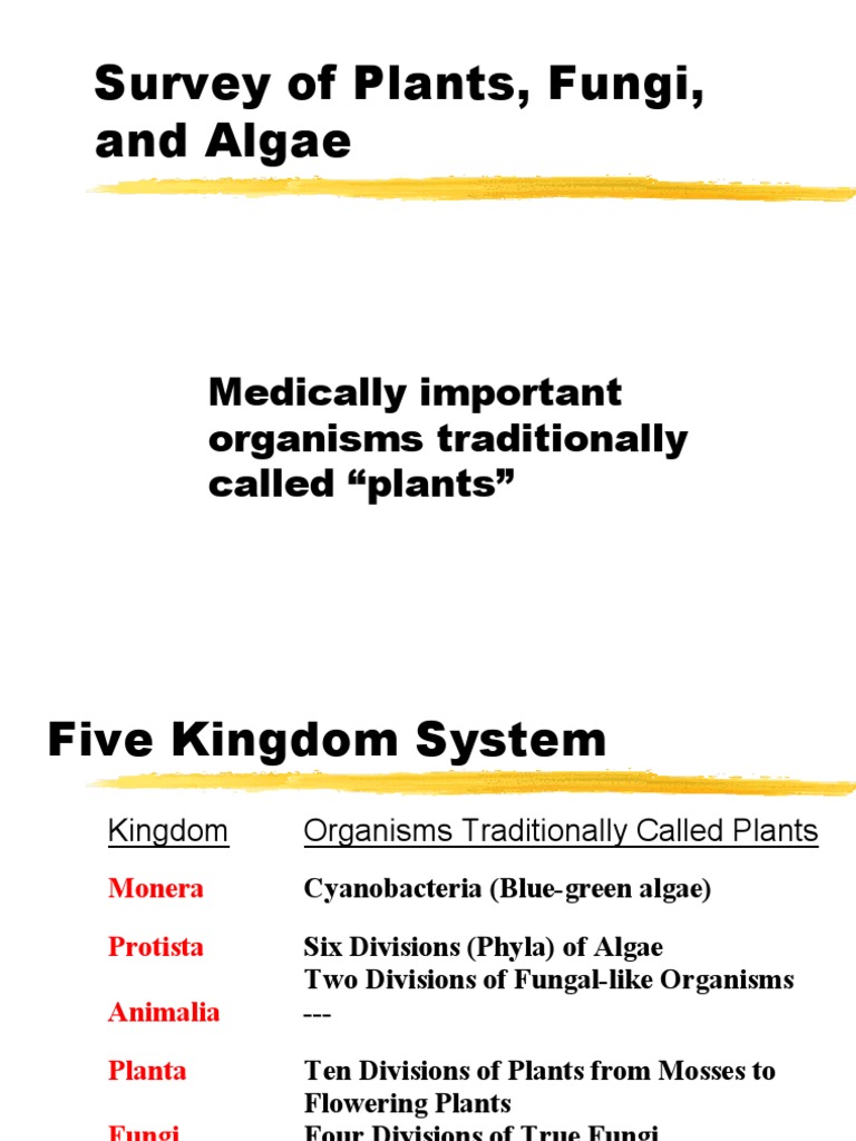 Survey of Plants, Fungi, and Algae: Medically Important Organisms ...