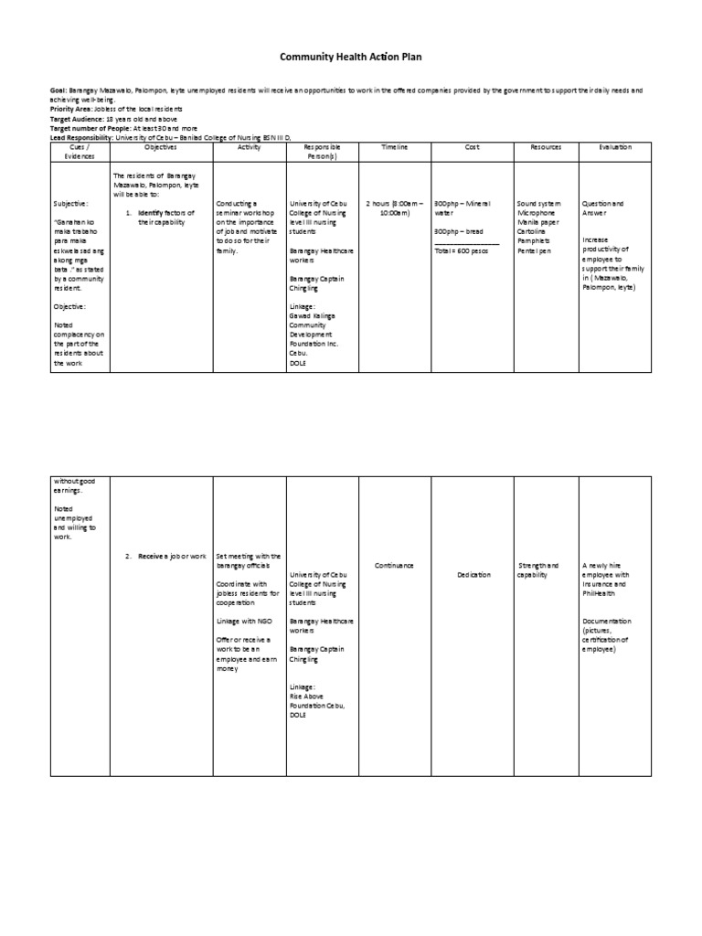 Community Health Action Plan | PDF | Nursing | Business