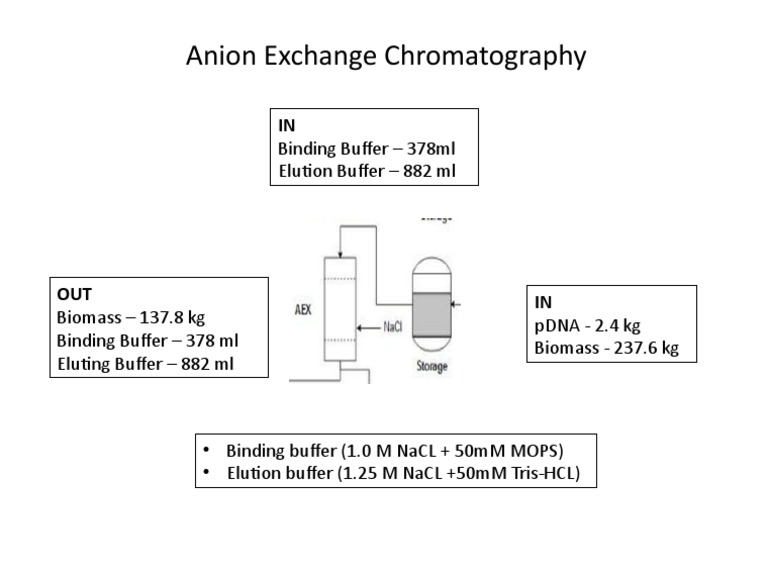 Anion Exchange Chromatography: Binding Buffer - 378ml Elution Buffer ...