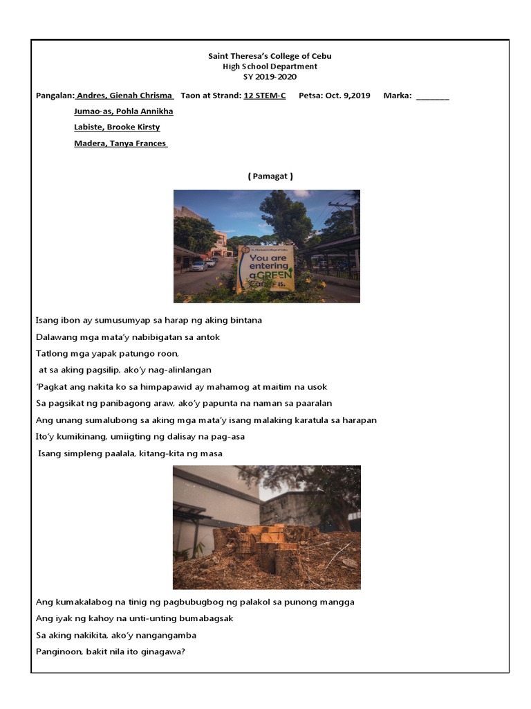 Pictorial Essay | PDF