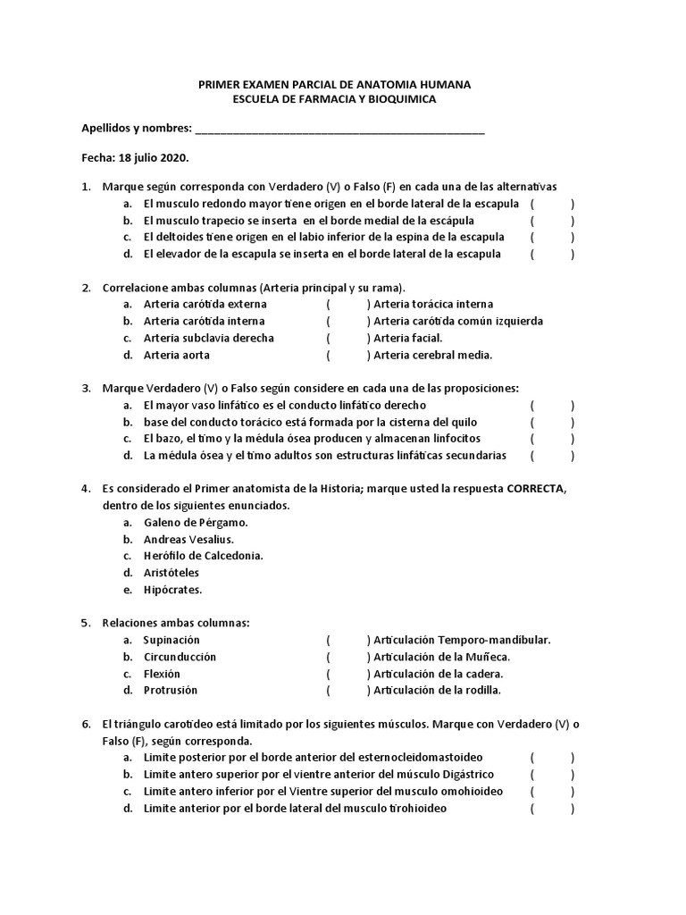 Primer Examen Parcial de Anatomia Humana | PDF | Sistema linfático | Sistema esquelético