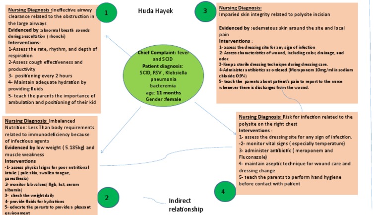 1 3 Huda Hayek::abnormal Breath Sounds | PDF | Infection | Pneumonia