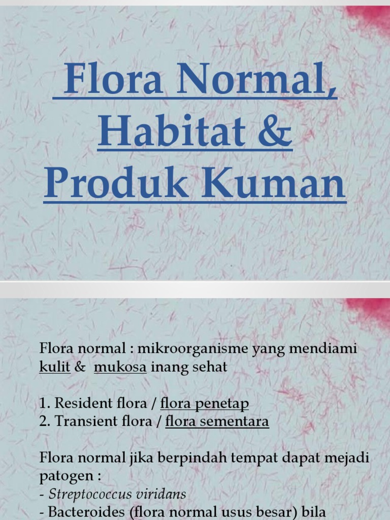 Flora Normal, Habitat & Produk Kuman | PDF