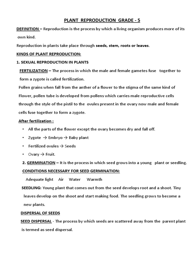 Plant Reproduction Grade - 5 | PDF | Plant Reproduction | Seed
