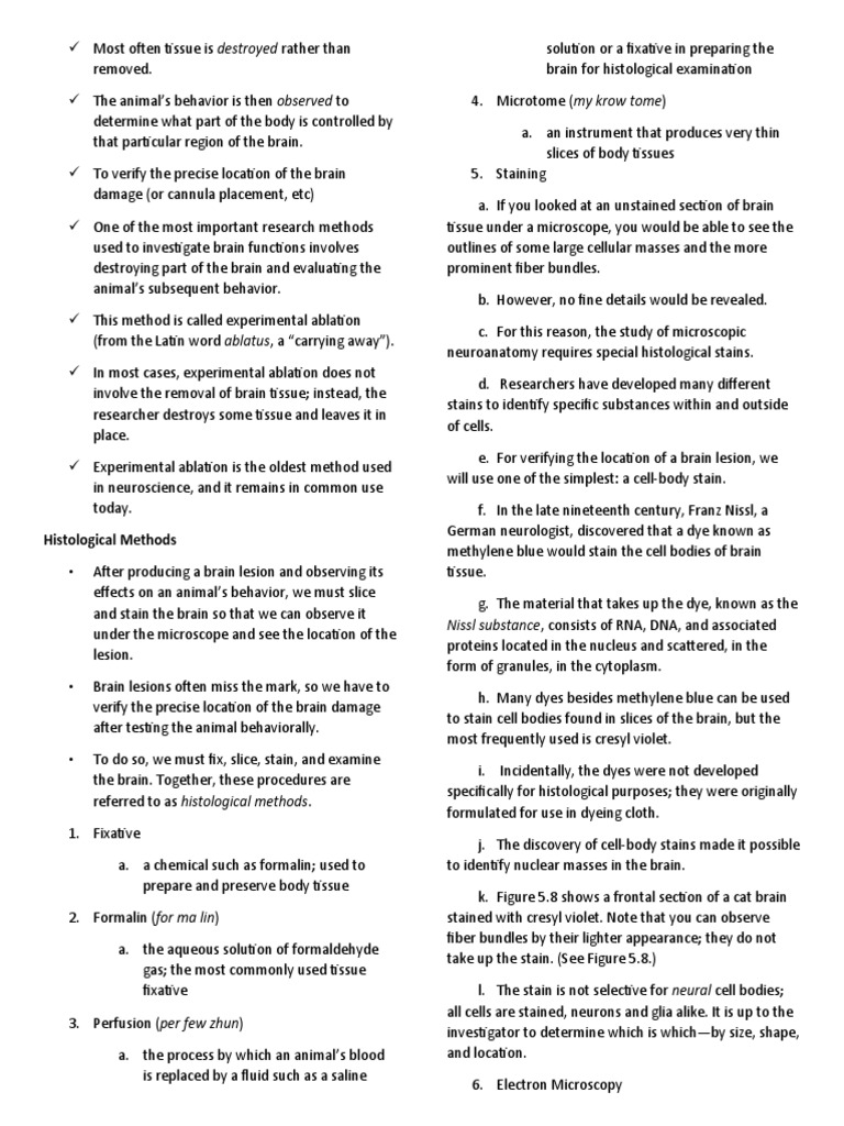 Experimental Ablation Report | PDF | Staining | Histology