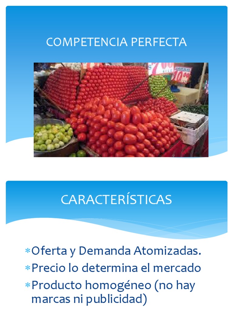 Competencia Perfecta | PDF | Oferta y demanda | Mercado (economía)