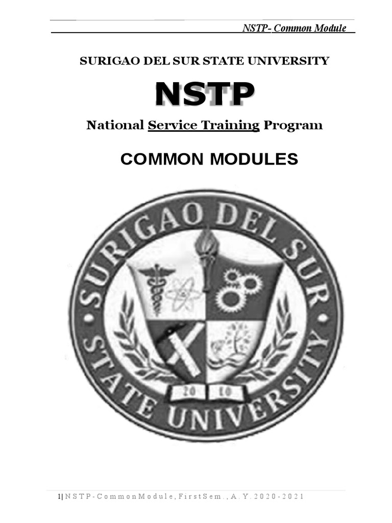 NSTP Common Modules | PDF | Human Rights | Family