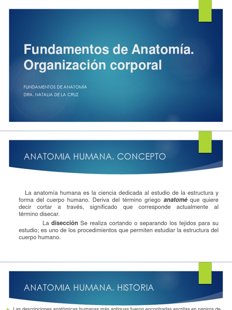 Anatomia Lab y Teoria | PDF | Términos anatómicos de ubicación | Anatomía