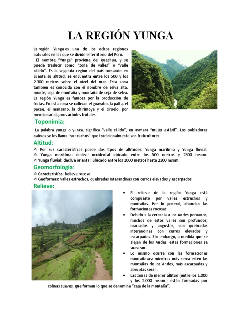 Características de la Región Yunga | PDF | Organismos | Geografía Física