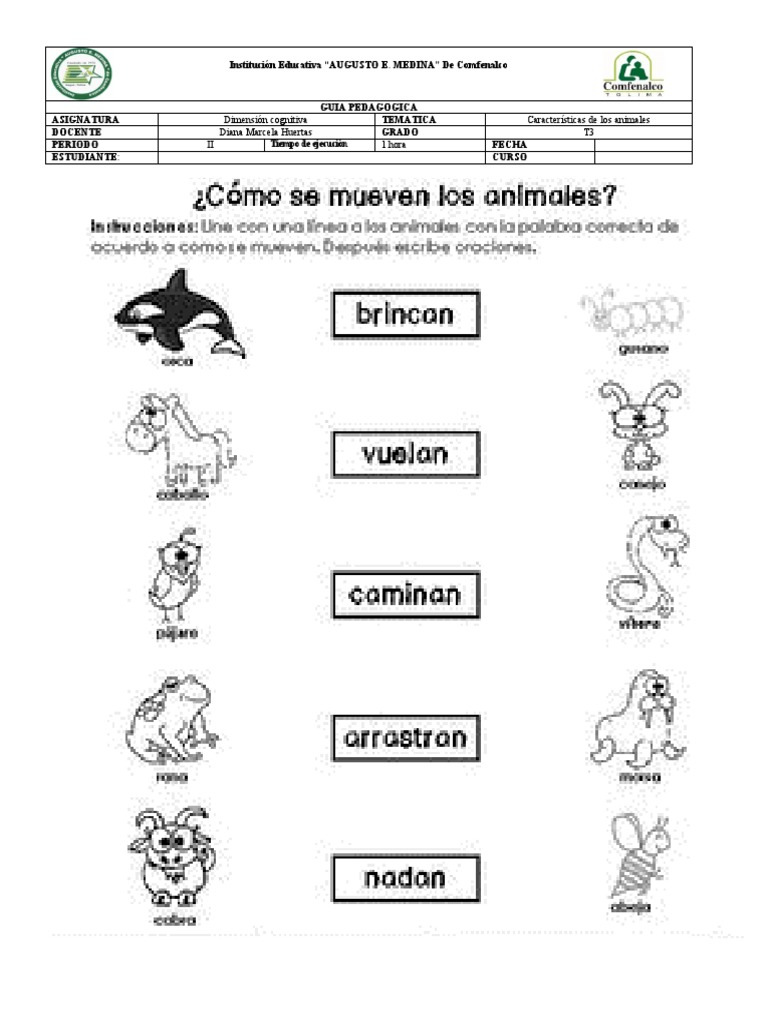Caracteristicas de Los Animales Guia 3 | PDF