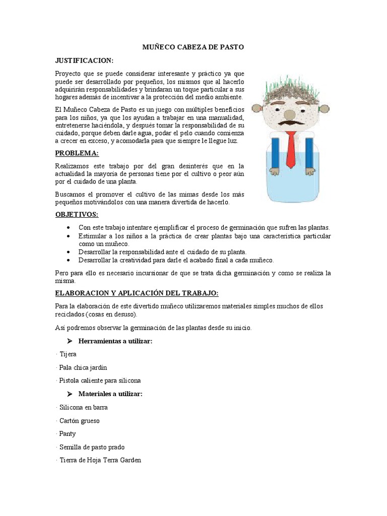 Muñeco Cabeza de Pasto | Descargar gratis PDF | Plantas | Agricultura