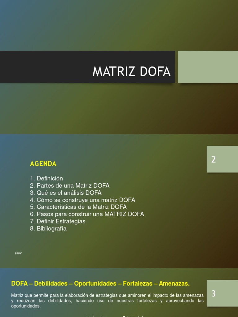 11 Matriz Dofa | PDF | Análisis FODA | Business