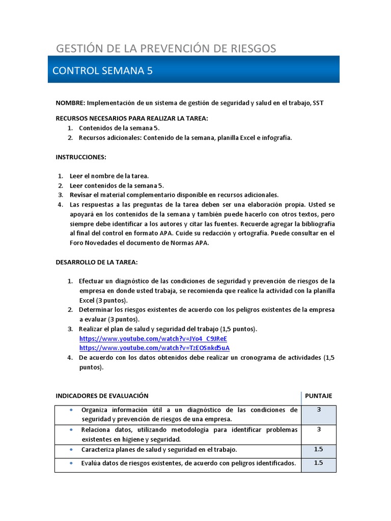 05 - Gestion de La Prevencion de Riesgos - Controlv1 | PDF | Salud y bienestar | Medicina