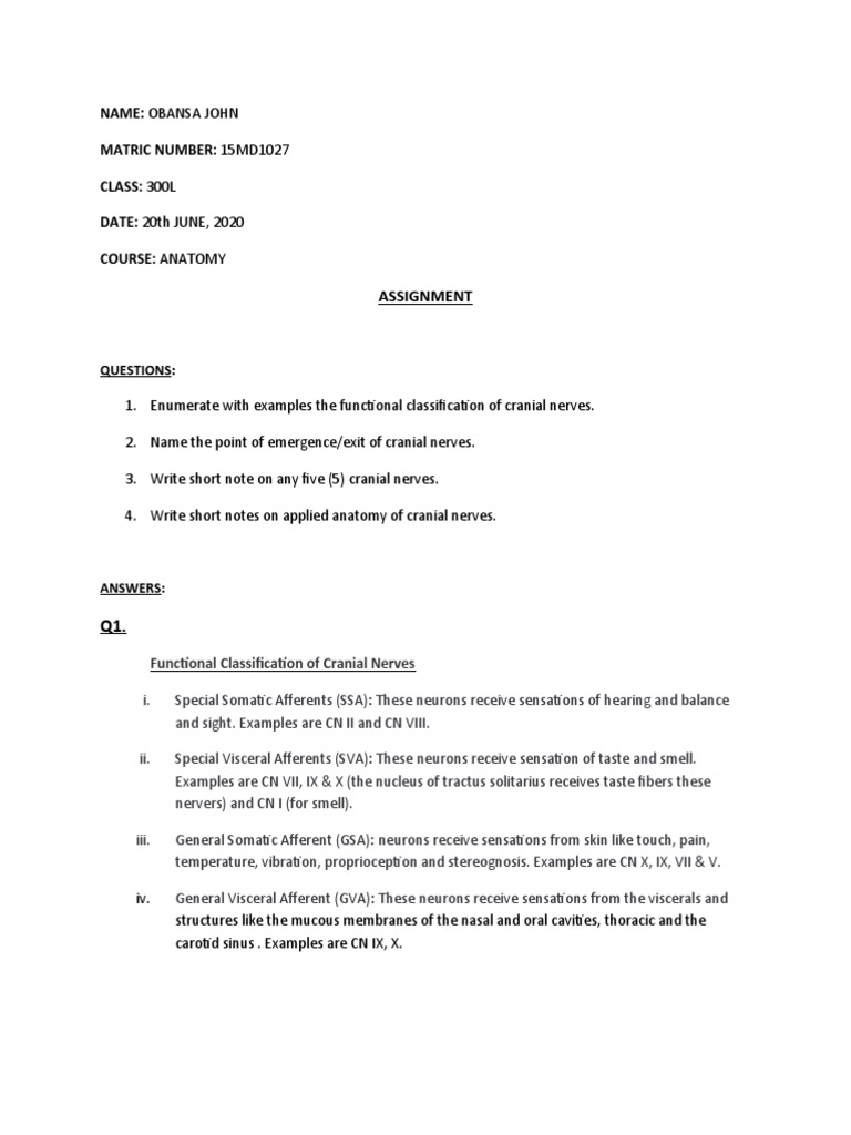 Anatomy Assignment | Download Free PDF | Brainstem | Nervous System