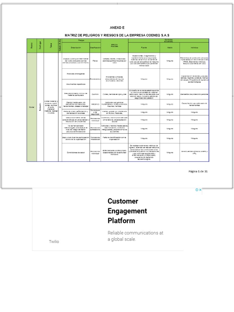 ANEXO E MATRIZ DE PELIGROS Y RIESGOS DE LA EMPRESA COENEQ S.A.S - PDF Descargar Libre | PDF