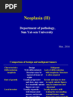 Endophytic vs Exophytic Tumors Explained | PDF