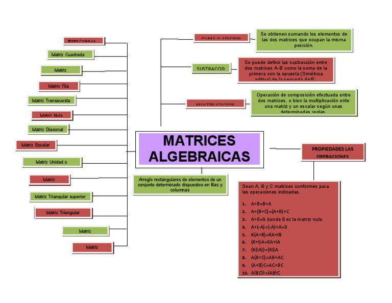 Mapa Conceptual Algebra Taller 1 | PDF | Matriz (Matemáticas) | Teoría de la matriz