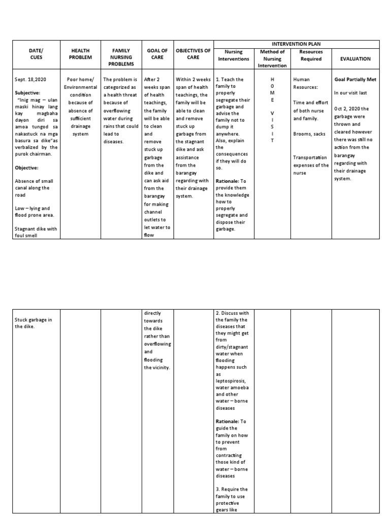 CHN - COPAR Family Nursing Care Plan | PDF | Toilet | Flood