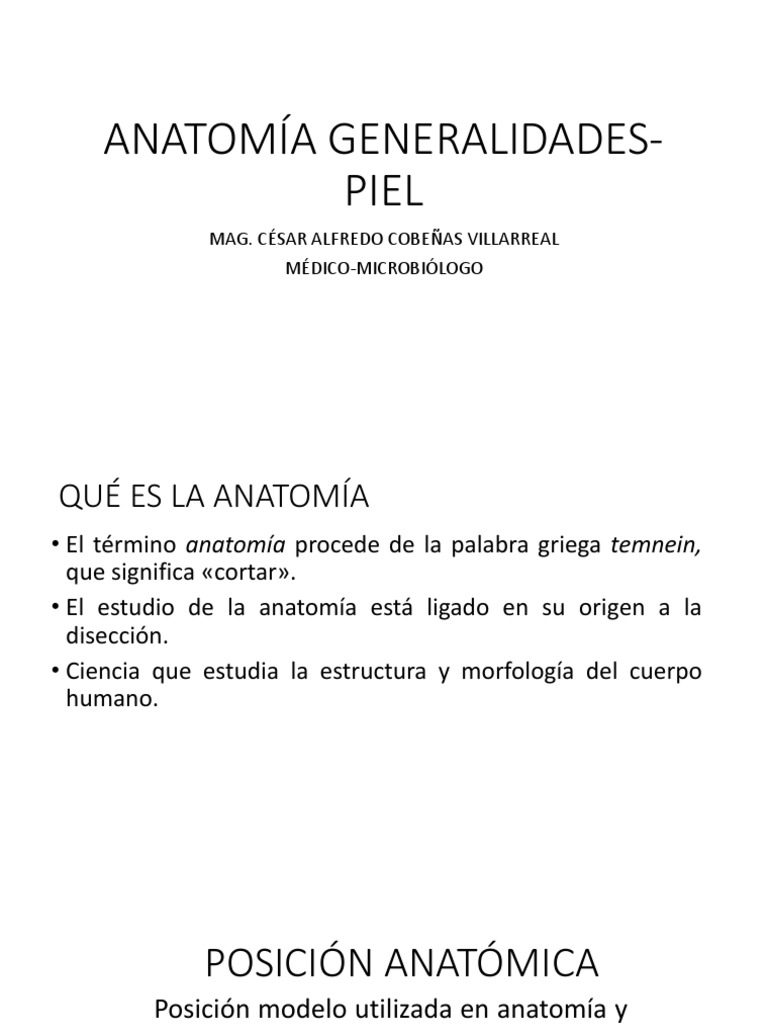 ANATOMIA GENERALIDADES-PIEL 2020-1 Virtual USS PDF | PDF | Epidermis | Piel