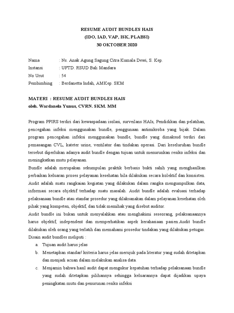 Resume Audit Bundle Hais | PDF