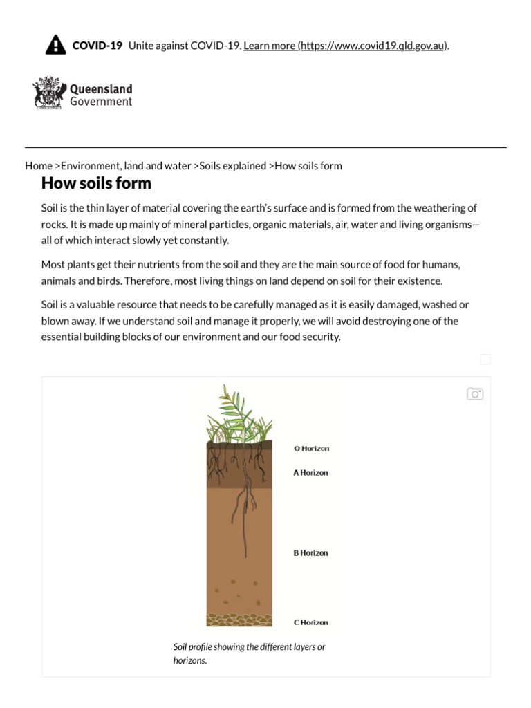 How Soils Form: Soil Pro Le Showing The Different Layers or Horizons ...