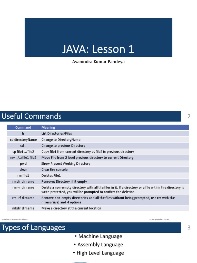 JAVA: Lesson 1: Avanindra Kumar Pandeya | PDF | Java (Programming ...