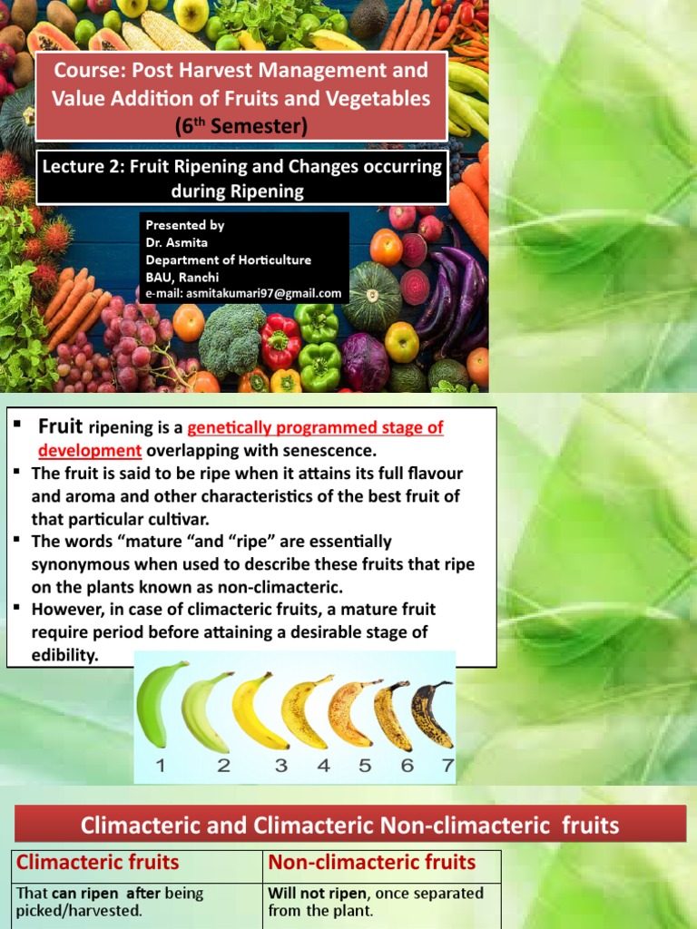 Course: Post Harvest Management and Value Addition of Fruits and Vegetables | Download Free PDF ...
