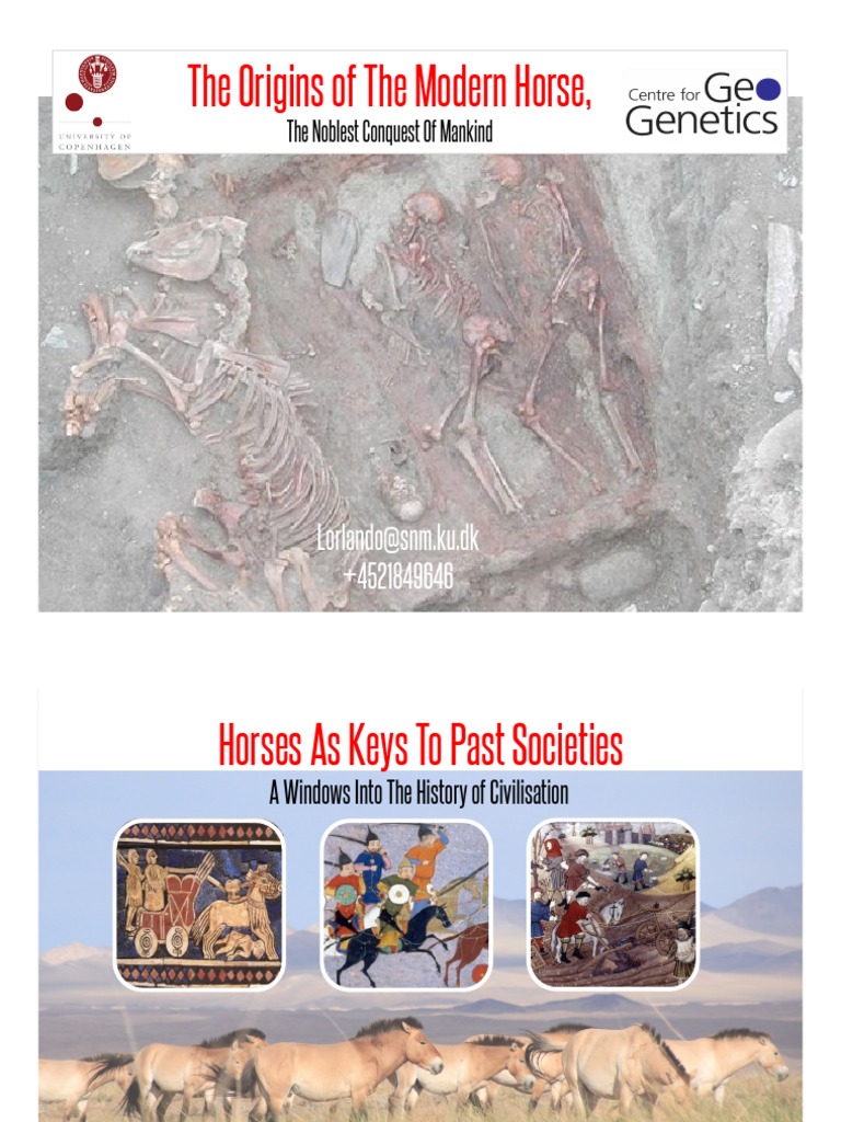 Deciphering the Genetic History of Horse Domestication Through Ancient ...
