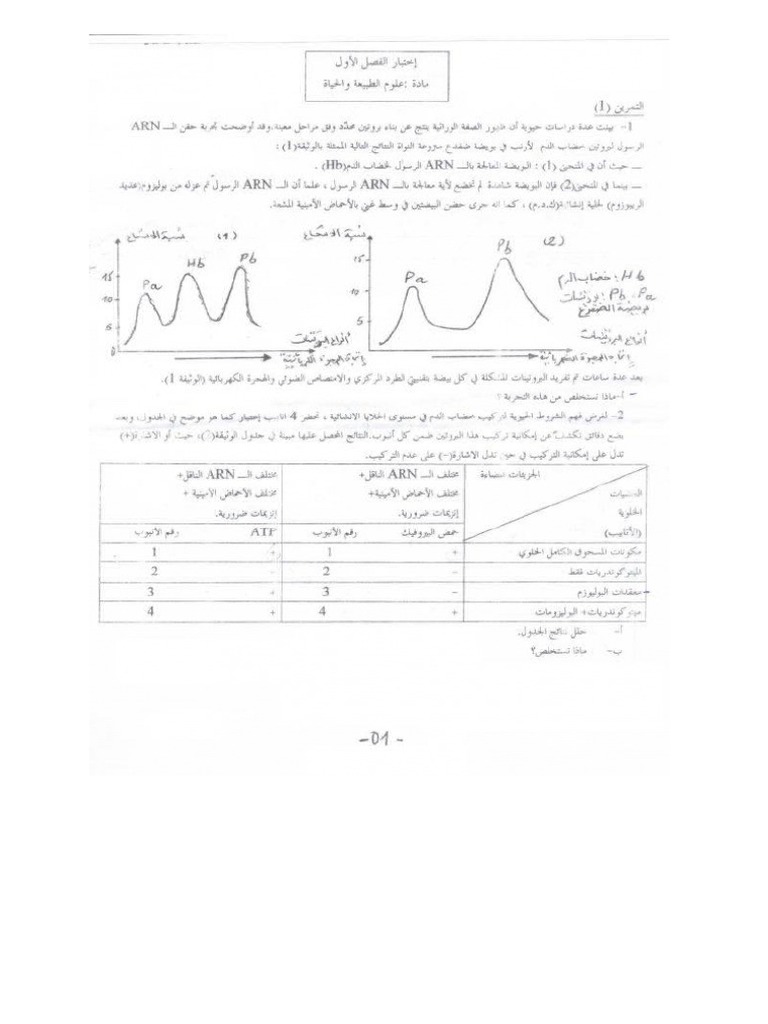 Exam Science 3as | PDF