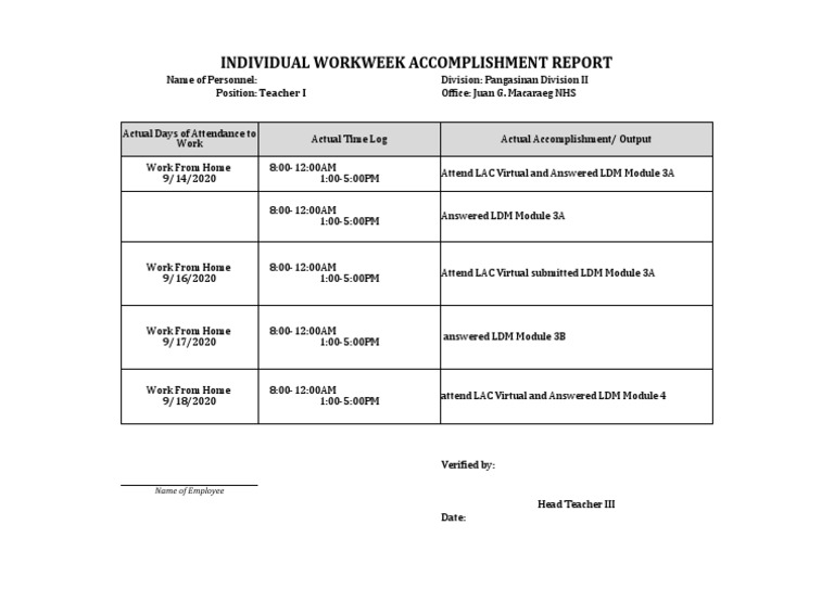 Individual Workweek Accomplishment Report: Name of Employee | PDF