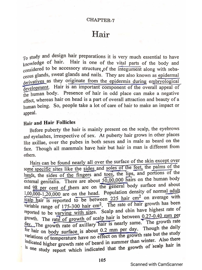 Structure and Functions of Hair | PDF