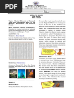 Syato | PDF | Sports | Ball Games