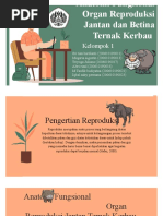 Gambar Alat Reproduksi Sapi Betina | PDF