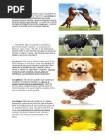 Animales Útiles Al Hombre | PDF