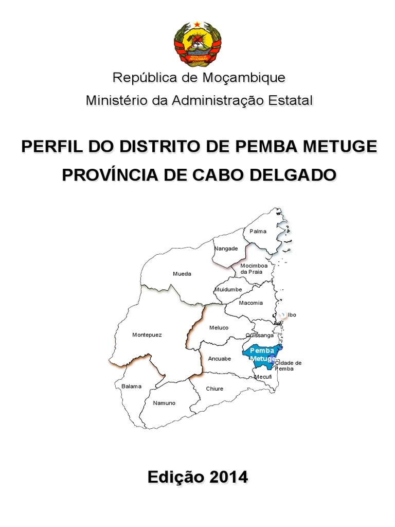 Pemba Metuge | PDF | Liderança | Moçambique