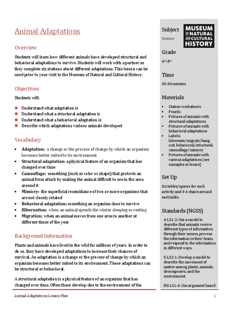 Animal Adaptations Lesson Plan | PDF | Adaptation | Habitat