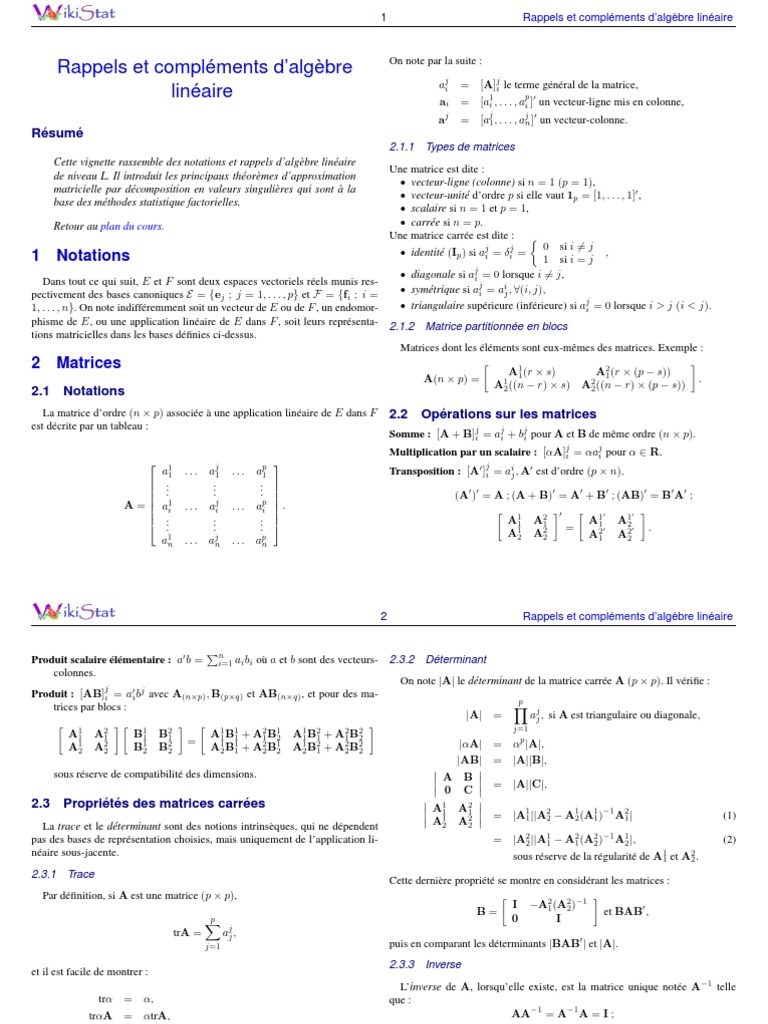 Rappels Et Compléments D'algèbre | PDF
