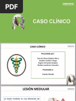 Guía Integral para Lesión Medular | PDF | Lesión de la médula espinal ...