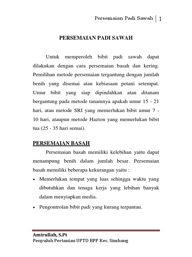 Persemaian Padi Sawah | PDF