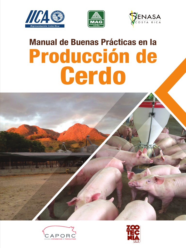 Manual Buenas Practicas de Produccion de Cerdo | PDF | Cerdo doméstico | Bienestar de los animales