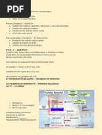 Momentix HPB: Usos y Efectos Secundarios | PDF | Disfunción eréctil ...