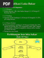 Tugas Rumus Baxter Untuk Menghitung Kebutuhan Cairan Pasien Luka Bakar | PDF