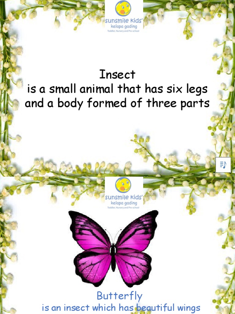 Insect Is A Small Animal That Has Six Legs and A Body Formed of Three ...