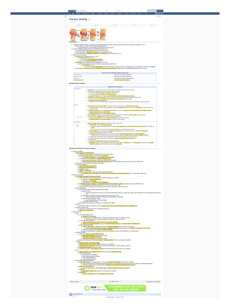 Fracture Healing - Basic Science - Orthobullets PDF | PDF | Bone | Osteoblast