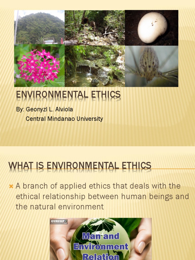Environmental Ethics | PDF | Resource Depletion | Environmental Degradation