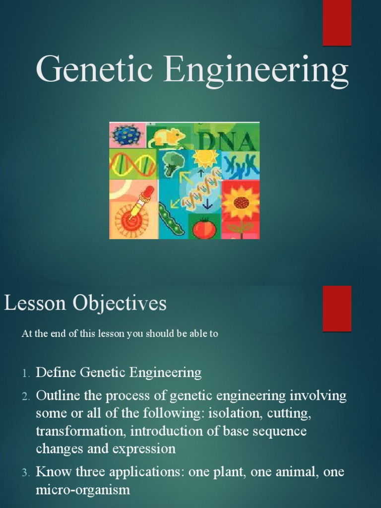 Genetic Engineering | PDF | Genetic Engineering | Genetics