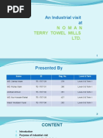 Feroze Textile Industries Overview | PDF | Business