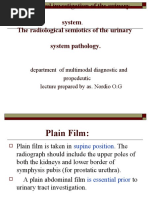 CT Urography: Techniques & Protocols | PDF | Ct Scan | Kidney