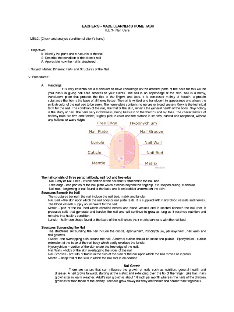 Nail Care Basics for Manicurists | PDF | Nail (Anatomy) | Integumentary ...