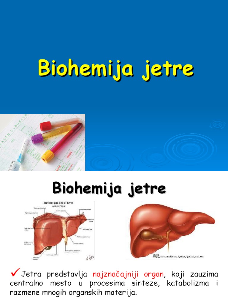 Biohemija Tkiva - Stomatolozi 2013 | PDF